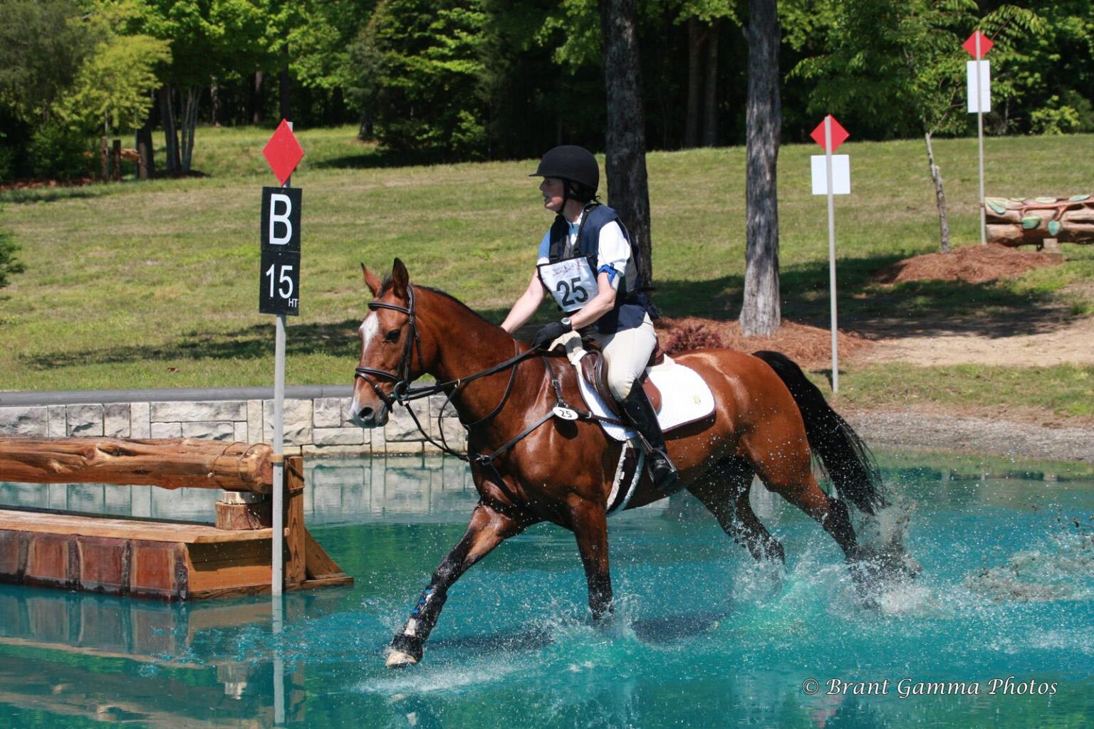 Akhal-Teke Association of America – Preserving and Promoting the Akhal ...