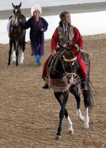 Akhal-Teke Association of America – Preserving and Promoting the Akhal ...
