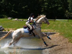 Akhal-Teke Association of America – Preserving and Promoting the Akhal ...