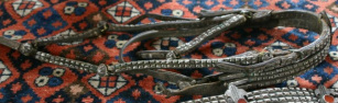 Traditional Tack – Akhal-Teke Association of America