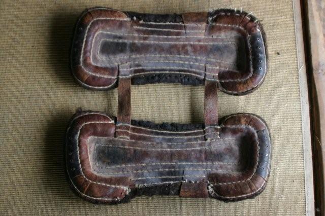 Traditional Tack – Akhal-Teke Association of America
