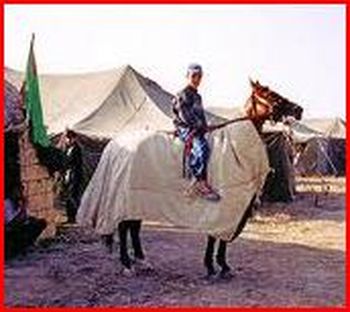 Traditional Tack – Akhal-Teke Association of America