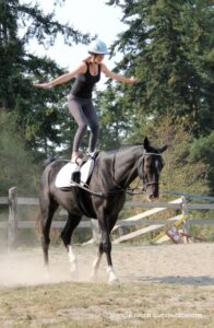 Akhal-Teke Association of America – Preserving and Promoting the Akhal ...