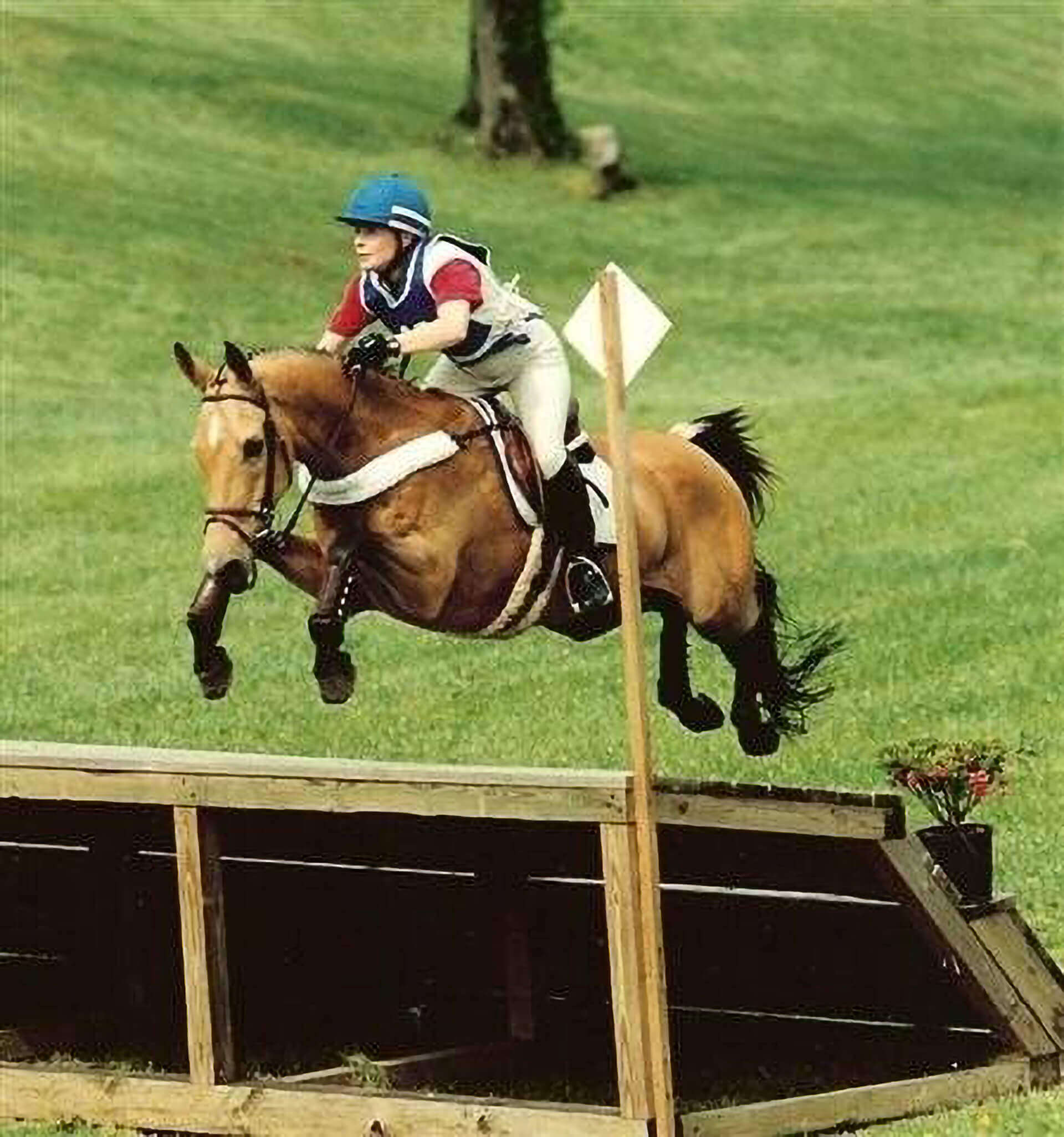 Case Memorial Competition Awards – Akhal-Teke Association of America