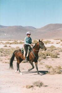 Meet the Akhal-Teke – Akhal-Teke Association of America