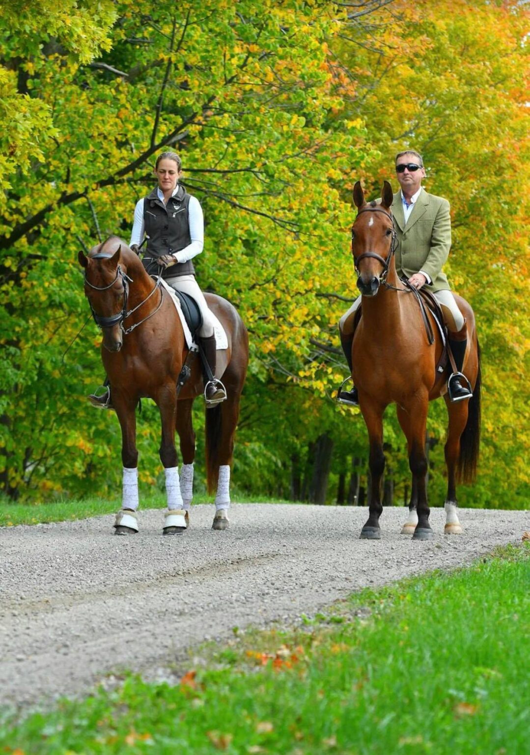 Meet the Akhal-Teke – Akhal-Teke Association of America