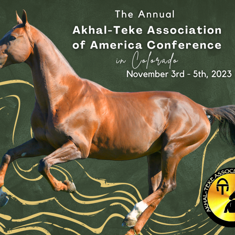 News – Akhal-Teke Association of America