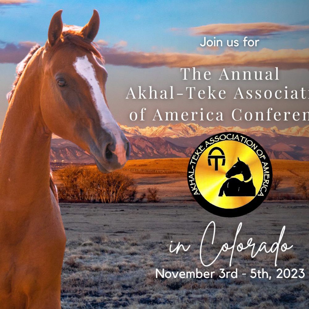 News – Akhal-Teke Association of America