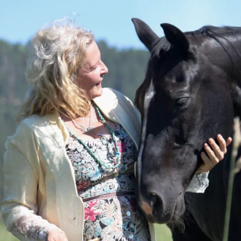 The Annual ATAA Conference, Colorado 2023 – Akhal-Teke Association of ...